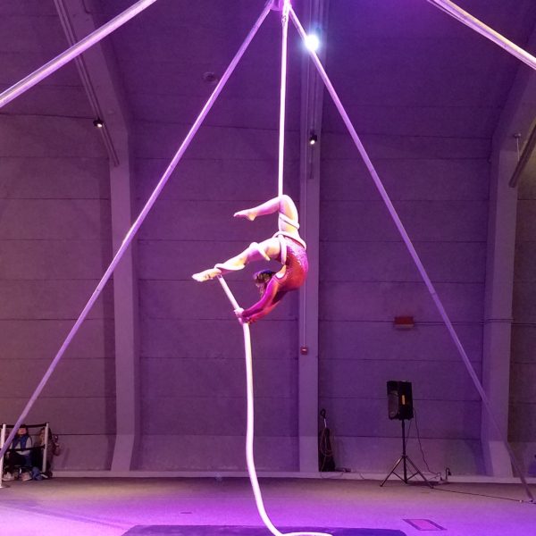 Quad Freestanding Aerial Rig | Trapeze Arts